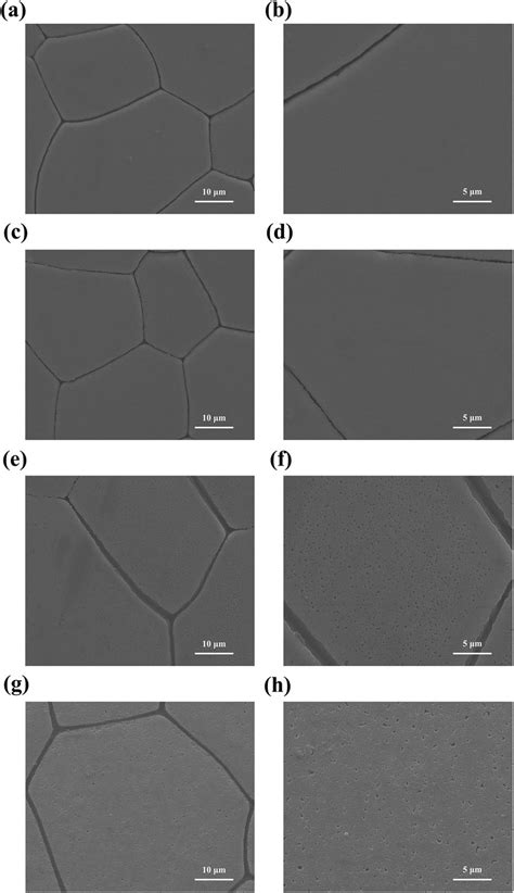 Effects Of The Inhibition Of Pfy2 On Regulating The Prismatic Layer Of Download Scientific