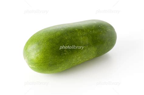 冬瓜 写真素材 6334663 フォトライブラリー Photolibrary