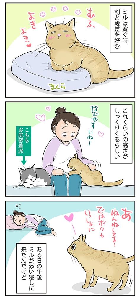 藤緒ミルカ On Twitter 重要なのは匂いと質感？ ＃猫 ＃猫漫画 ＃コミックエッセイ ＃漫画が読めるハッシュタグ