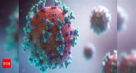 Coronavirus India S First Antidote Against COVID VINCOV Ready For Phase Clinical Trial