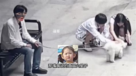 狗 等你两嘎了一个埋南极一个埋北极 强哥 强哥 哔哩哔哩视频