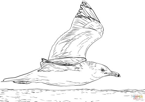 Gaivota De Papel Png Here You Can Explore Hq Papel Transparent Illustrations Icons And Clipart
