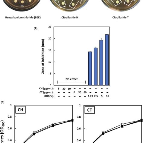Cutibacterium Acnes Growth Inhibition Induced By Phenolic Glycosides