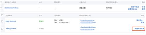 配置redis企业版实例的双向同步数据传输服务dts 阿里云帮助中心