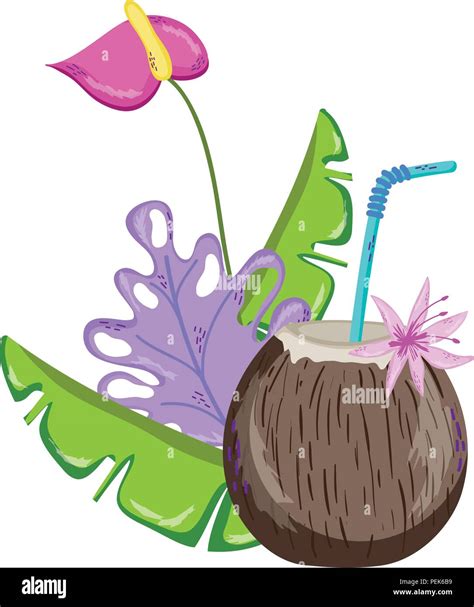 Tropical Plants With Exotic Coconut Beverage Stock Vector Image And Art