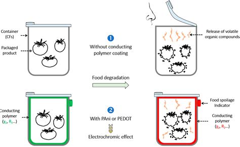Multifunctional Smart Conducting Polymerssilver Nanocomposites Modified Biocellulose Fibers For
