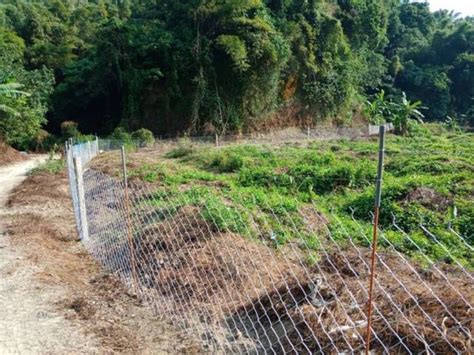 電圍網補助最高12萬6千元 黃偉哲鼓勵農民裝置 減少野生動物危害農作 府城人語新聞網