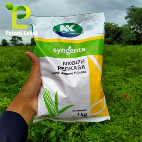 Jual Benih Jagung Perkasabenih Jagung Hibrida Nk6172 Kemasan 1 Kg