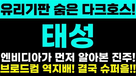 태성 주가전망 유리기판 숨은 다크호스 엔비디아가 먼저 알아본 진주 브로드컴 역지배 결국 슈퍼을로 급부상 주주님들 정말