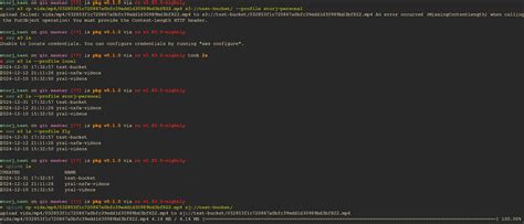Cannot Upload File With Aws Cli Troubleshooting Storj Community Forum Official
