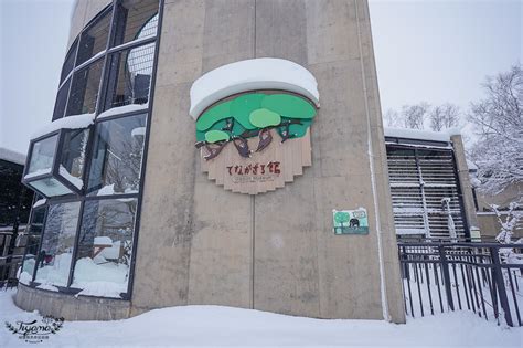北海道景點｜旭山動物園冬季攻略！！園區接駁巴士資訊，企鵝遊行．棕熊館．北極熊寶寶yume 緹雅瑪 美食旅遊趣