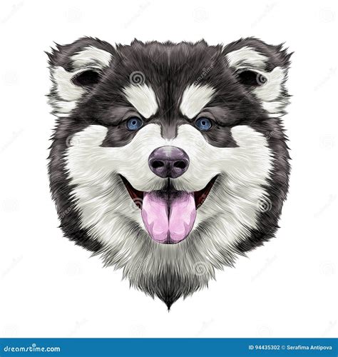 狗头对称剪影向量图形 向量例证 插画 包括有 爱斯基摩狗 交配动物者 速写 颜色 明信片 例证 94435302