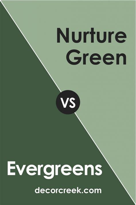 Evergreens Sw 6447 Paint Color Sherwin Williams