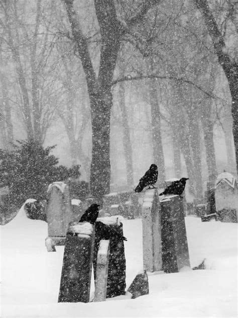 Pin By Tabitha Markovetz On Abandoned Beauty Gothic Aesthetic Dark Fantasy Art Graveyard