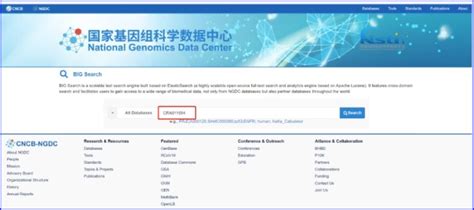 百创智造s系列空间转录组细胞分割demo下载 百创智造