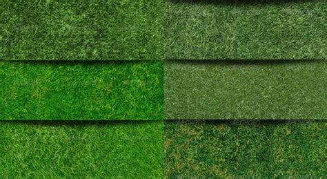 Tileable Grass Texture
