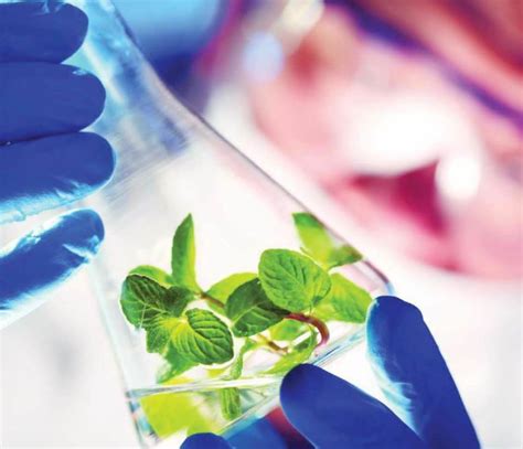 A Sustainable Future With Green Chemistry
