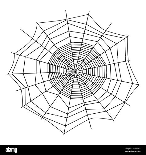 Spider Web Threads Stock Vector Images Alamy