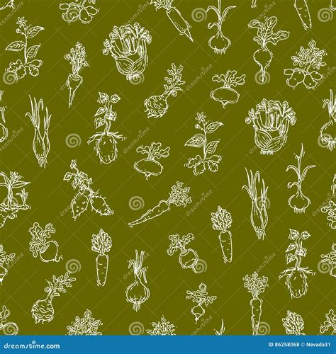 Seamless Pattern Root Vegetables Stock Illustration Illustration Of
