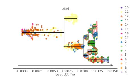 单细胞·拟时轨迹 Stream 知乎