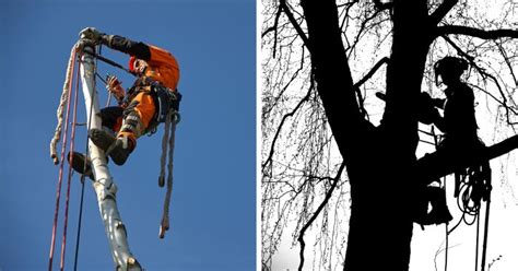 Rope Access Is My Daily Job I Often Take A Camera With Me To Work Heres What I Captured 21