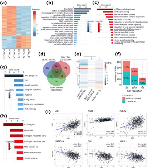 Figure from The Estrogen Receptor α Signaling Pathway Controls Alternative Splicing in the