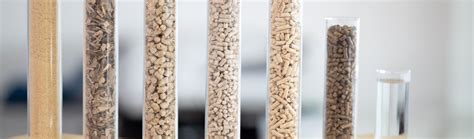 Bioenergy Biorefineries Thermochemical Biomass Conversion