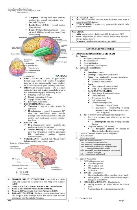 Diagnosing Hypocalcemia A Step By Step Algorithm