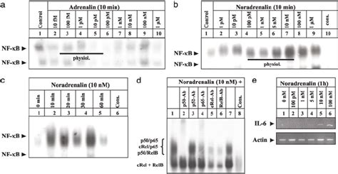 Physiological Concentrations Of Na Induce Functionally Signi Fi Cant