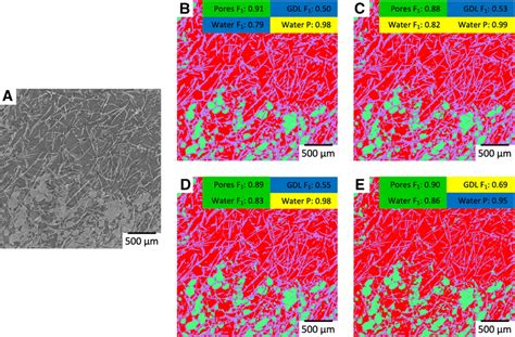 grayscale a and segmentations of sgl10ba corresponding in order to