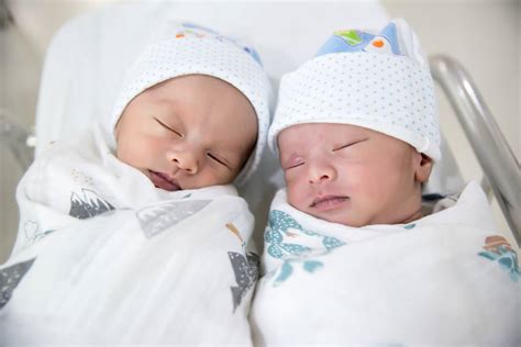 Can You Have Twins With Ivf New York Reproductive Wellness