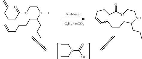 Scheme 2 8 Carbon Dioxide As Reversible Protecting Group And Solvent