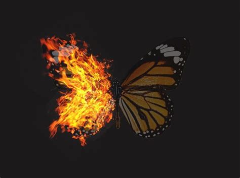 Create Flaming Wing Butterfly Effect In Photoshop