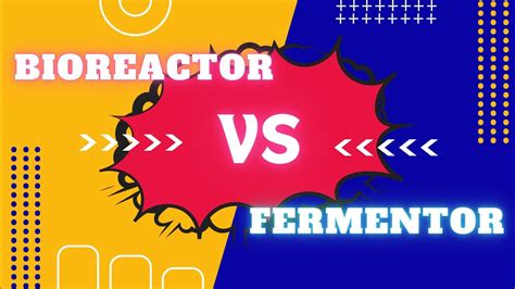 Difference Between Bioreactor And Fermentor Explained In Detail Bioreactor Vs Fermentor