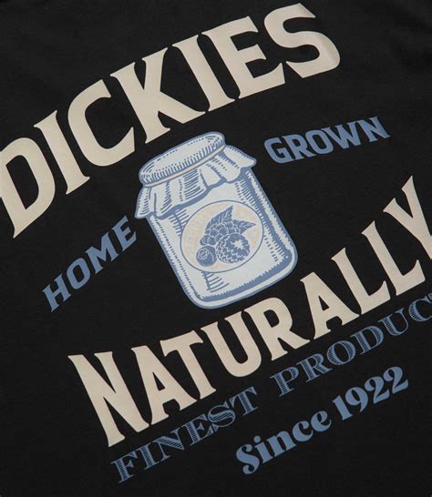 Dickies Elliston T Shirt Black Flatspot