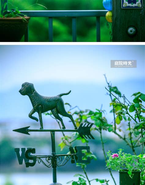 정원 풍향계 소품 마당 꾸미기 바람개비 화단 고양이 네이버 블로그