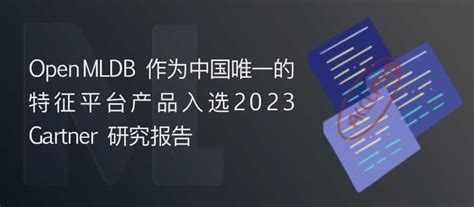 Openmldb 作为中国唯一的特征平台产品入选 2023 Gartner 研究报告 Openmldb 生产级特征开发全栈解决方案