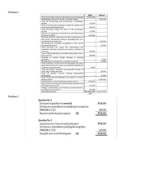 Audit Of Intangible Assets Solution Pdf