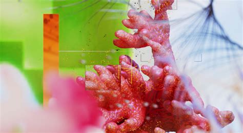 Select Sql примеры и синтаксис Sql запроса Select