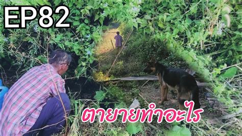 เรื่องสมมุติยืมปากตายายทำอะไร Ep82 Youtube