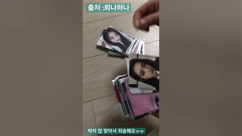 다이브로그 컨셉 Youtube