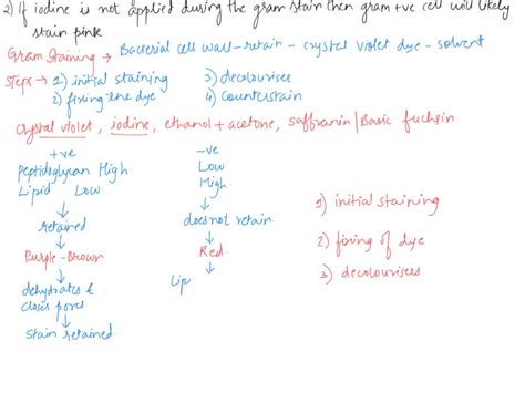 Solved Molecular Cell Biology Cell Cycle Analysis Flow Cytometry