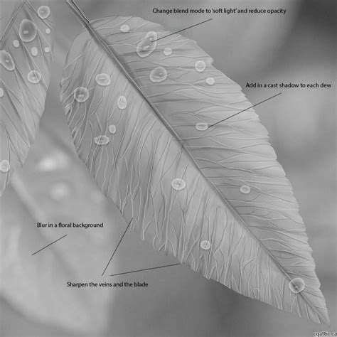 Realistic Leaf Drawing In 4 Steps With Photoshop Leaf Drawing Drawings Drawing Illustrations