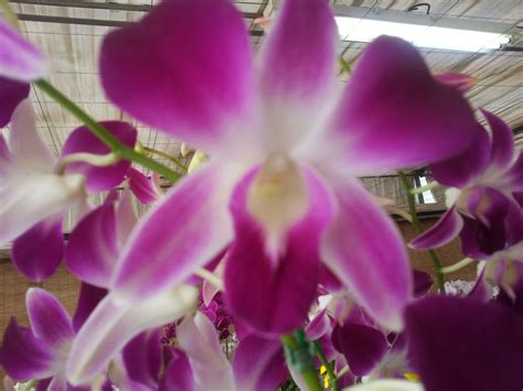 사랑에 대한 아름다운 사진 섹스 사랑 가족 가족 육아에 대한 지식