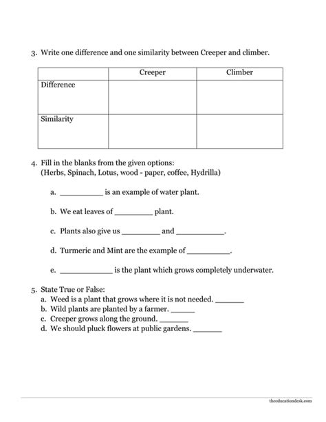 Environmental Science Evs Plants Worksheet Class Ii Pdf