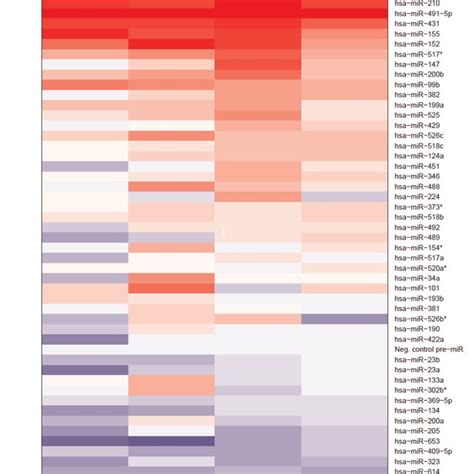 Effects Of 55 Mirna Precursors And A Negative Control On Il 11