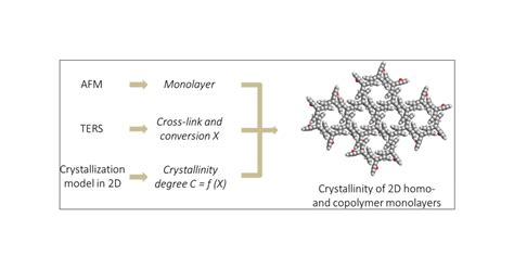 Structure Elucidation Of 2d Polymer Monolayers Based On Crystallization