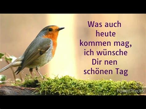 Ich W Nsche Dir Nen Sch Nen Tag Julebuergerfee Youtube