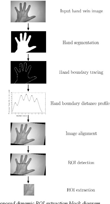 Figure 1 From Dynamic Roi Extraction Method For Hand Vein Images Semantic Scholar