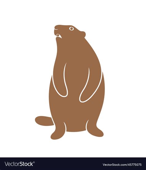 Marmot Royalty Free Vector Image Vectorstock